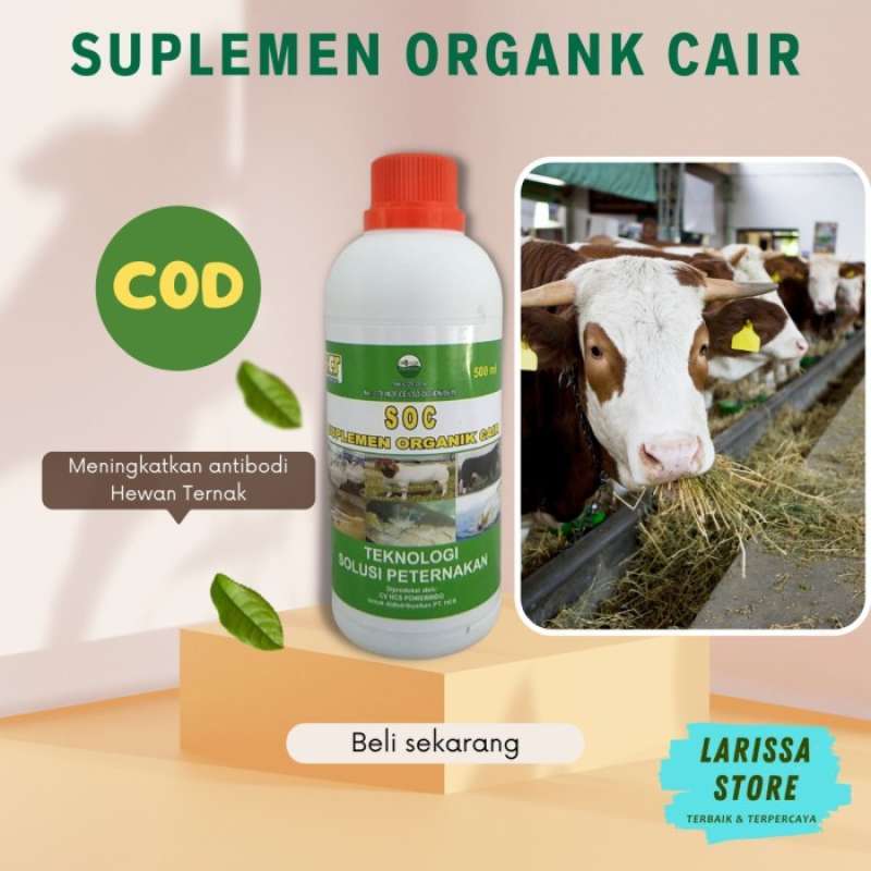 Promo Soc Hcs Suplemen Terbaik Untuk Penggemukan Ternak & Fermentasi ...