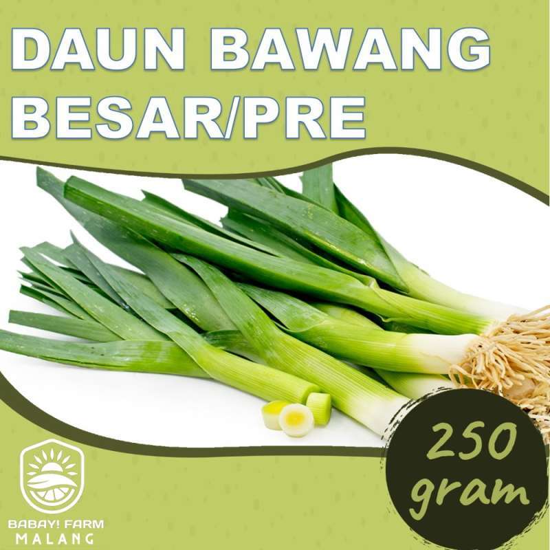 Jual Daun Bawang Pre Di Seller Babay! Farm Malang - Girimoyo, Kab ...