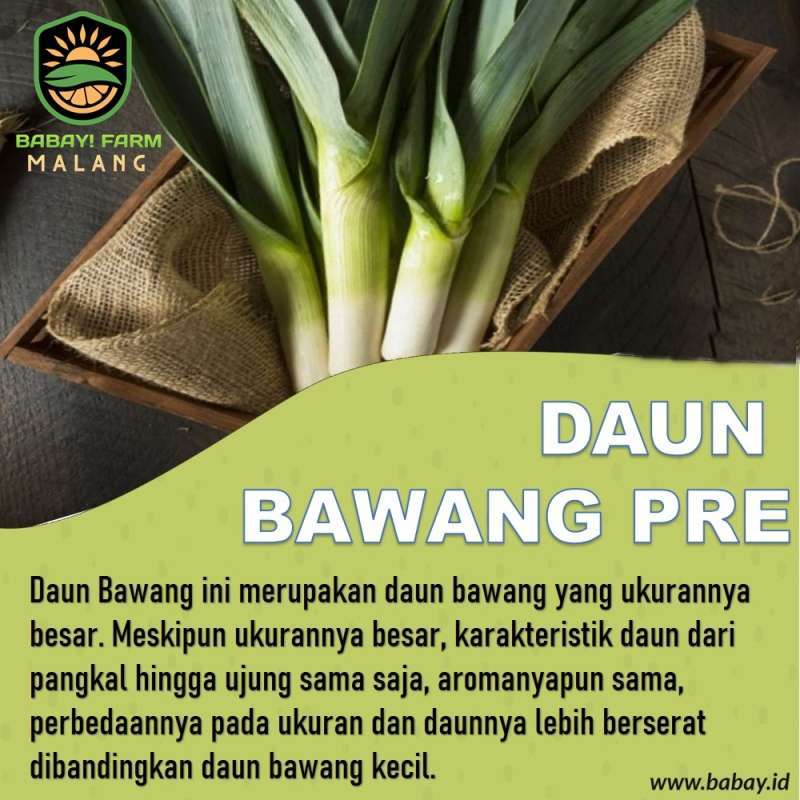 Jual Daun Bawang Pre Di Seller Babay! Farm Malang - Girimoyo, Kab ...