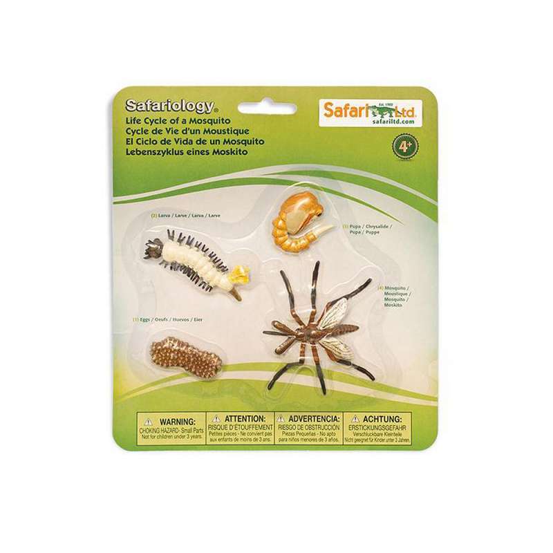 Jual Safari Ltd. Life Cycle Of A Green Sea Turtle Di Seller Mothercare ...