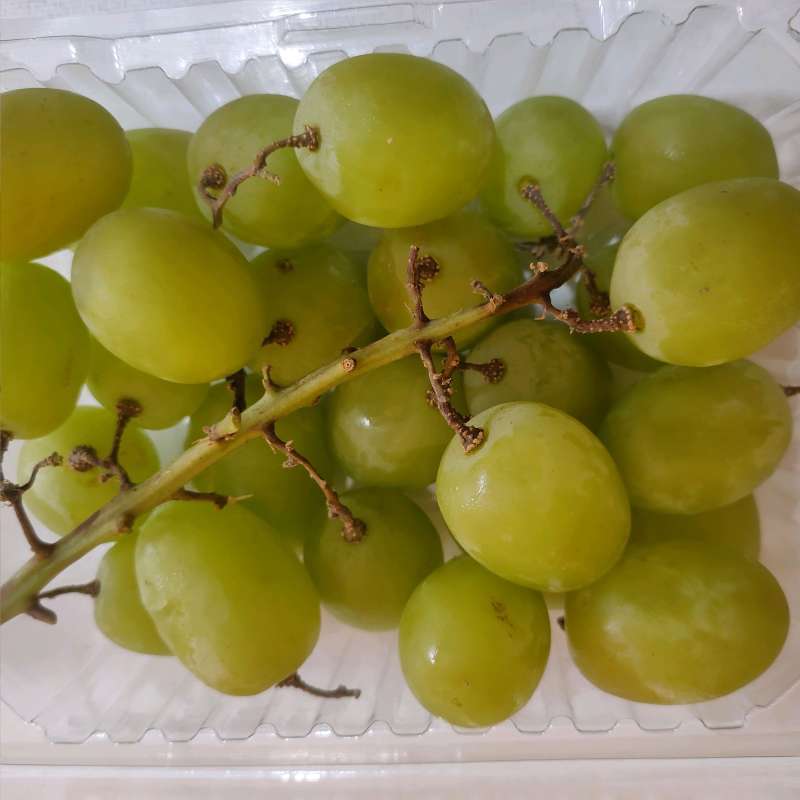 Jual Buah Anggur Hijau Seedless 1 pack di Seller Clarif_jaya ...