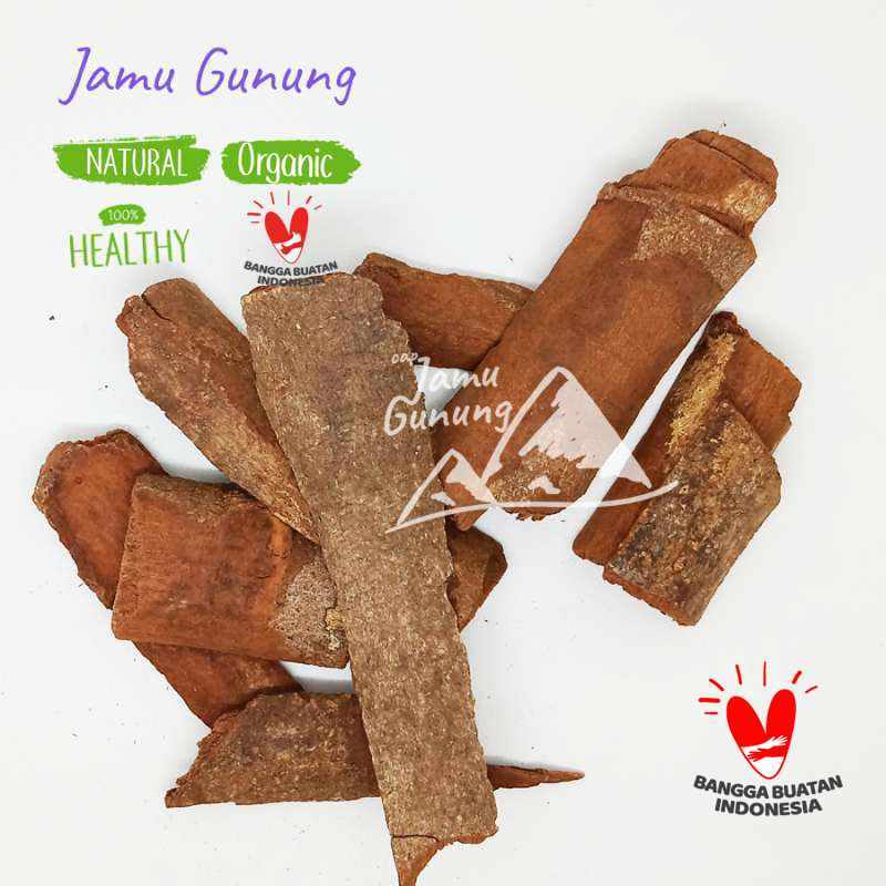 Jual Asli Hutan!! Kulit Kayu Sintok atau Sitok Kering 50gr Organik di ...