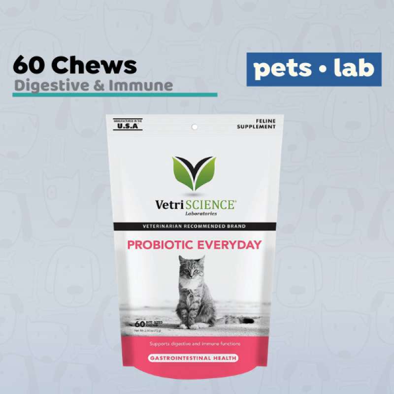 Promo VETRISCIENCE PROBIOTIC EVERYDAY CAT PROBIOTIK KUCING LAMBUNG ...