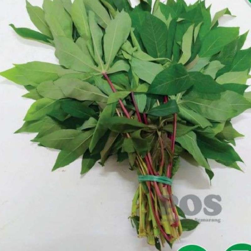 Jual Sayur Sayuran / Daun Ketela / Daun Singkong / Godong Telo / Dong ...