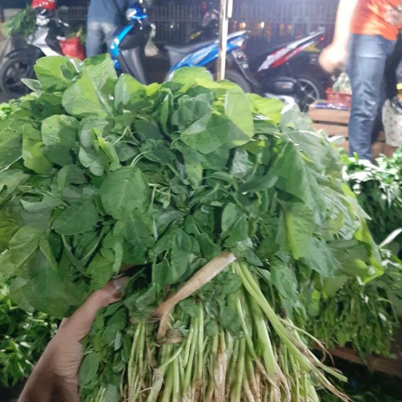 Jual Sayur Bayem 1 Gabung Besar di Seller VANANA - Kota Jakarta Timur ...
