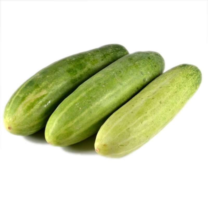 Promo Supernova Mart Timun Sayuran [1 kg] Diskon 7% di Seller Supernova ...