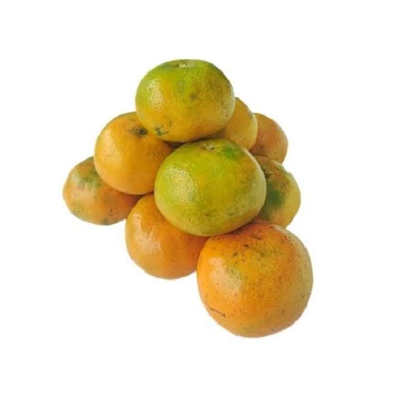 Jual Jeruk medan super PROMO MURAH - 500g di Seller SayFruit - Ragunan ...