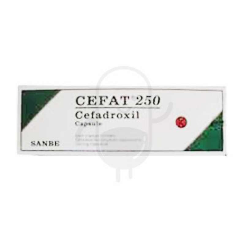 Jual CEFAT 250 MG KAPSUL BOX di Seller mahabaratastore - Papungan, Kab ...