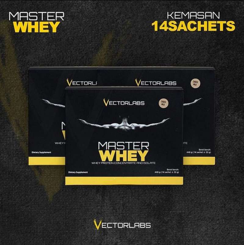 Jual MASTER WHEY Vectorlabs 14 Sachet CHOCO AMARETTO - Whey Protein ...