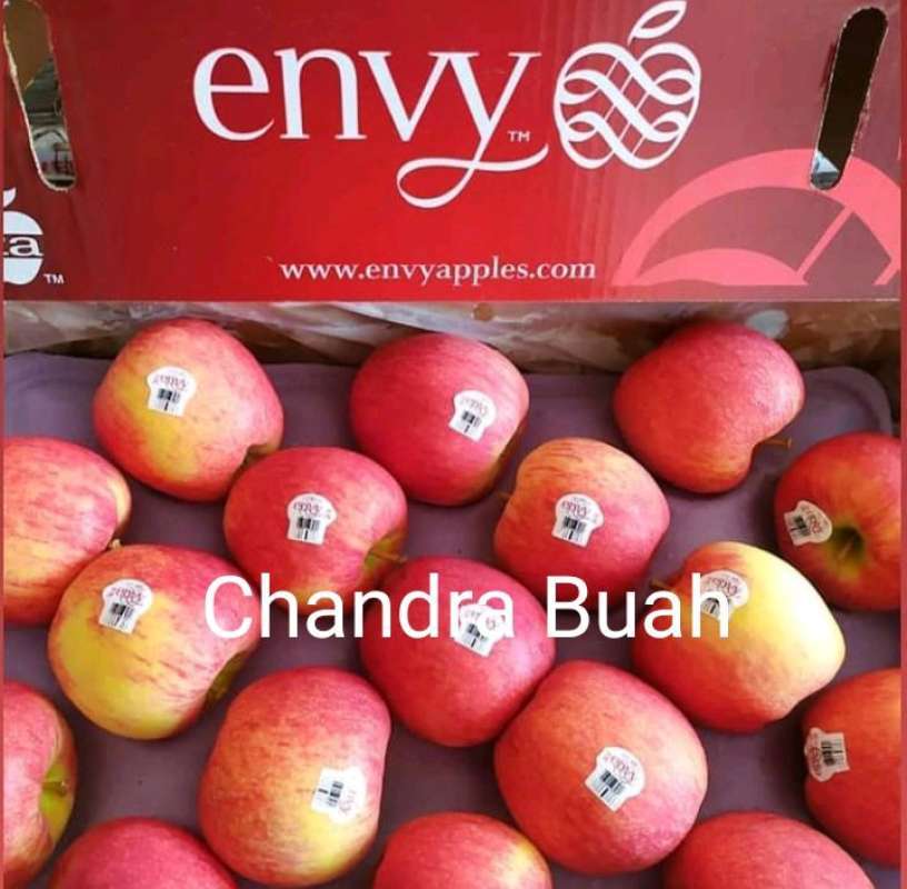 Buah Apel 1 Dus Gratis Ongkir 🔥 Harga Murah Mei 2026