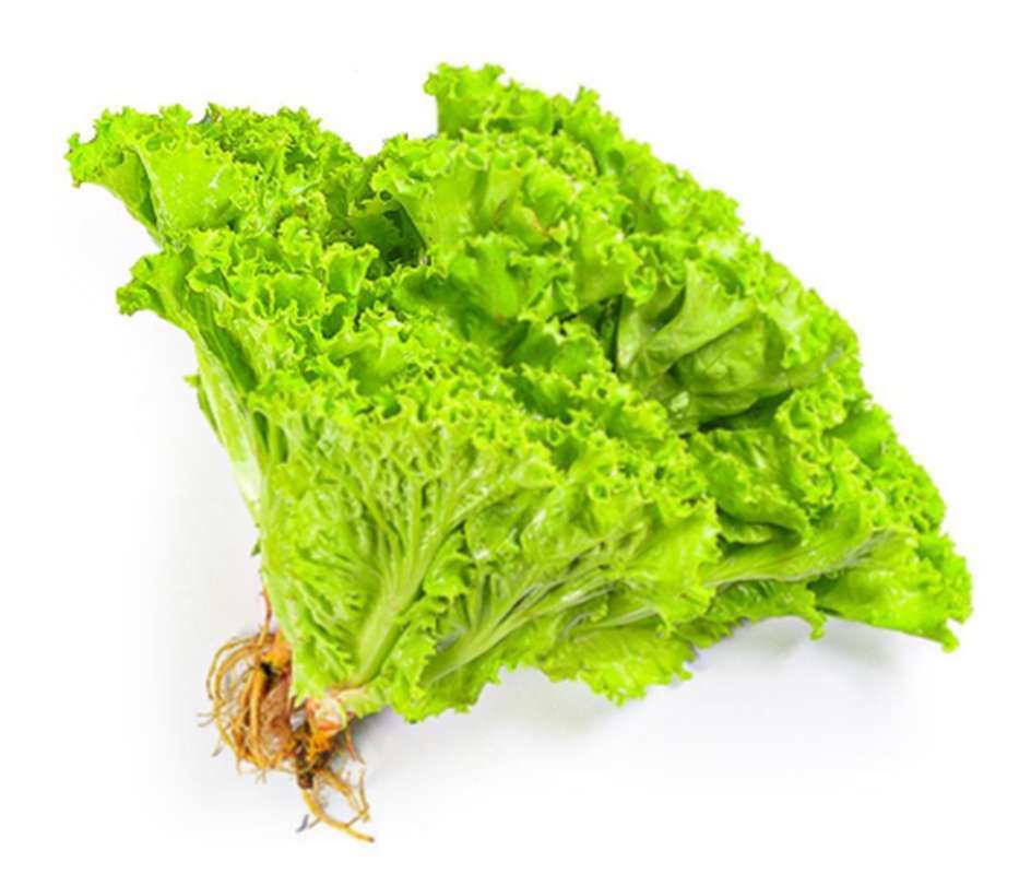 Jual Daun Selada 250gr di Seller healthy tasty - Pesanggrahan, Kota ...