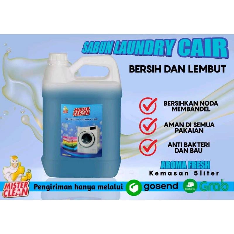Jual Mister Clean Front dan Top Loading Deterjen Cair [5 L] di Seller ...