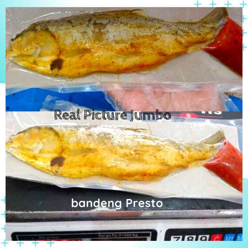 Jual Ikan Bandeng Cabut Duri Super Premium Jumbo Fresh Frozen Food ...