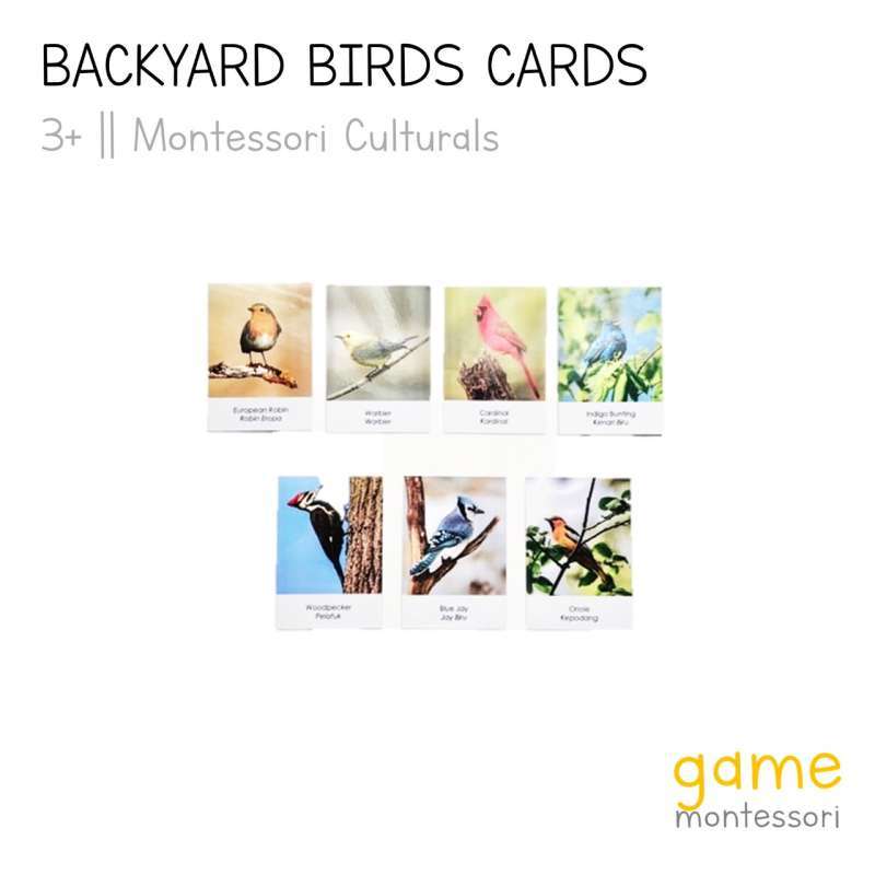 Promo Safari Ltd Toobs Backyard Birds Diskon 2% di Seller GAME ...