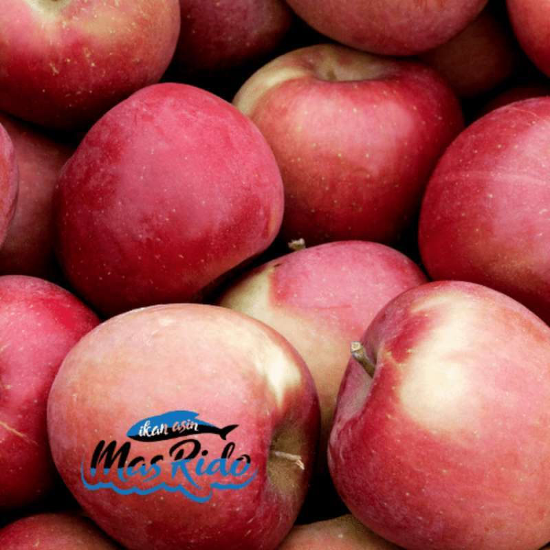 Jual Ikan Asin Mas Rido Buah Apel Fuji Rrc Rossy Premium Manis Segar ...