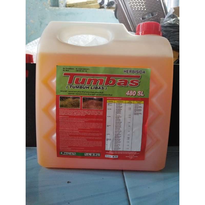 Jual Obat Rumput Pada Tanaman Jagung Termurah - Harga Grosir Terupdate ...