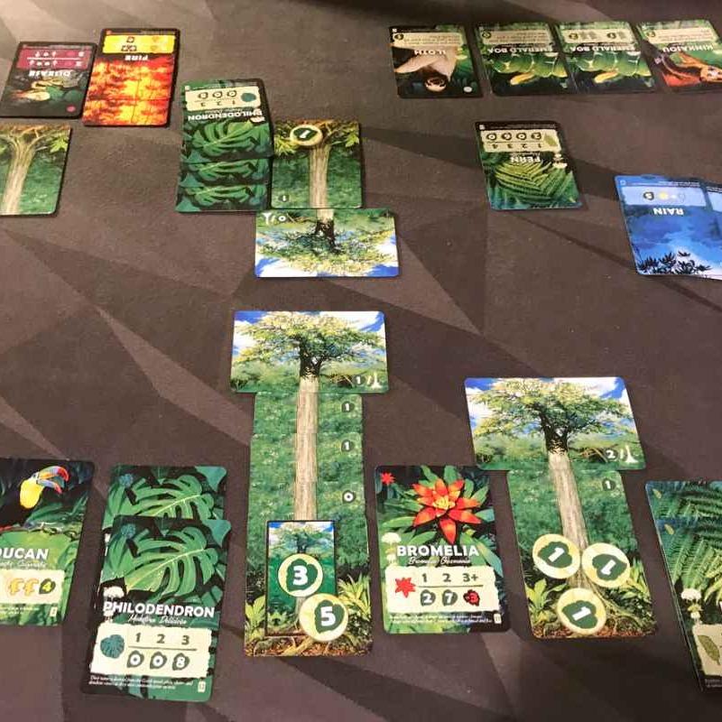 Jual Canopy Board Game di Seller Monopolis Board Game Official Store ...