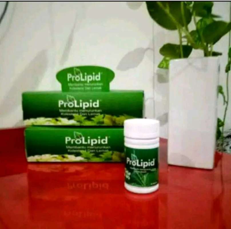 Jual PROLIPID ANTI KOLESTEROL INDOFARMA di Seller AnNisha ...
