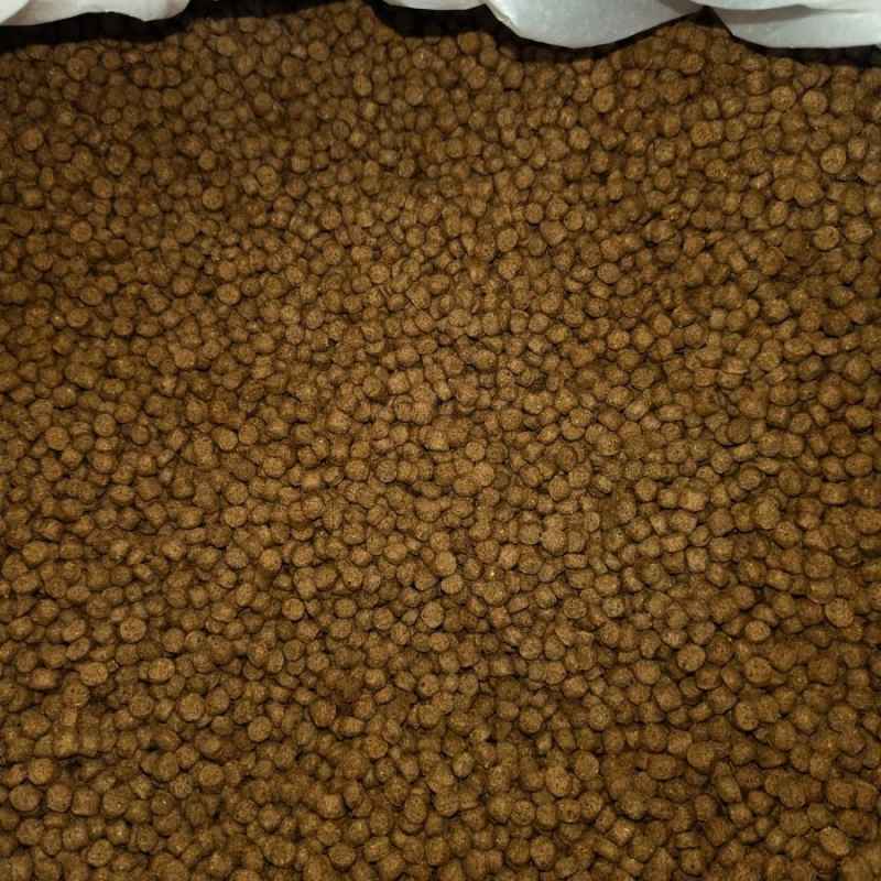 Jual Pelet Lele 30Kg - Pakan Ikan Lele Nila Gurame - Pakan Lele ...