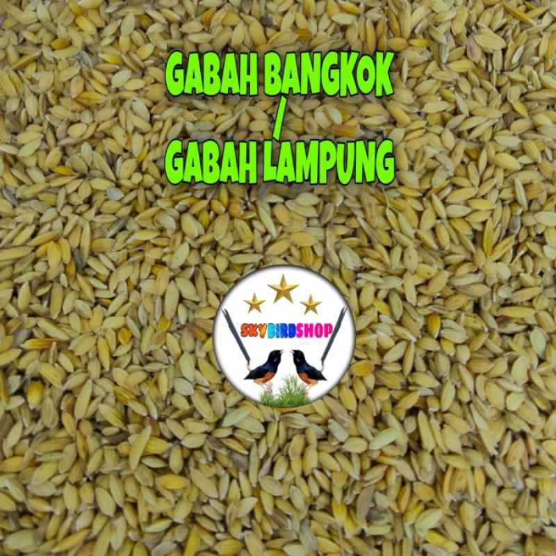Jual GABAH BANGKOK/GABAH LAMPUNG 1KG di Seller Nagara - Wanajaya, Kab ...