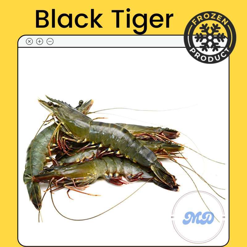 Jual Udang Black Tiger 1 Kg Termurah - Harga Grosir Terupdate Hari Ini ...