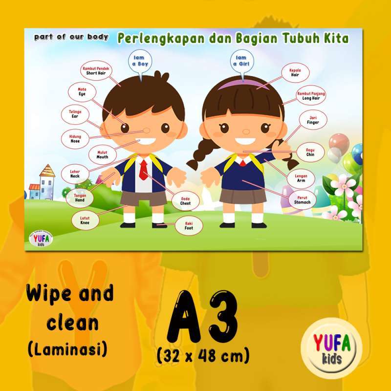 Jual 114 Poster Mengenal Anggota Tubuh Poster Edukasi - vrogue.co Jual 114 Poster Mengenal Anggota Tubuh Poster Edukasi - vrogue.co