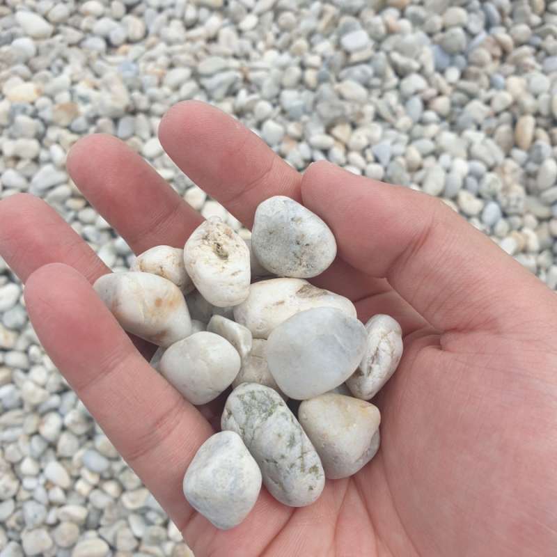 Jual Batu Putih Biasa Hias Taman Aquarium Aquascape No 1 per 1 kg di ...