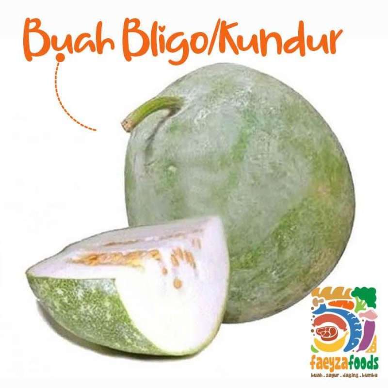 Jual Buah Bligo/Sayur Bligo/Buah Labu Kundur / Tung Kua / Winter Melon ...