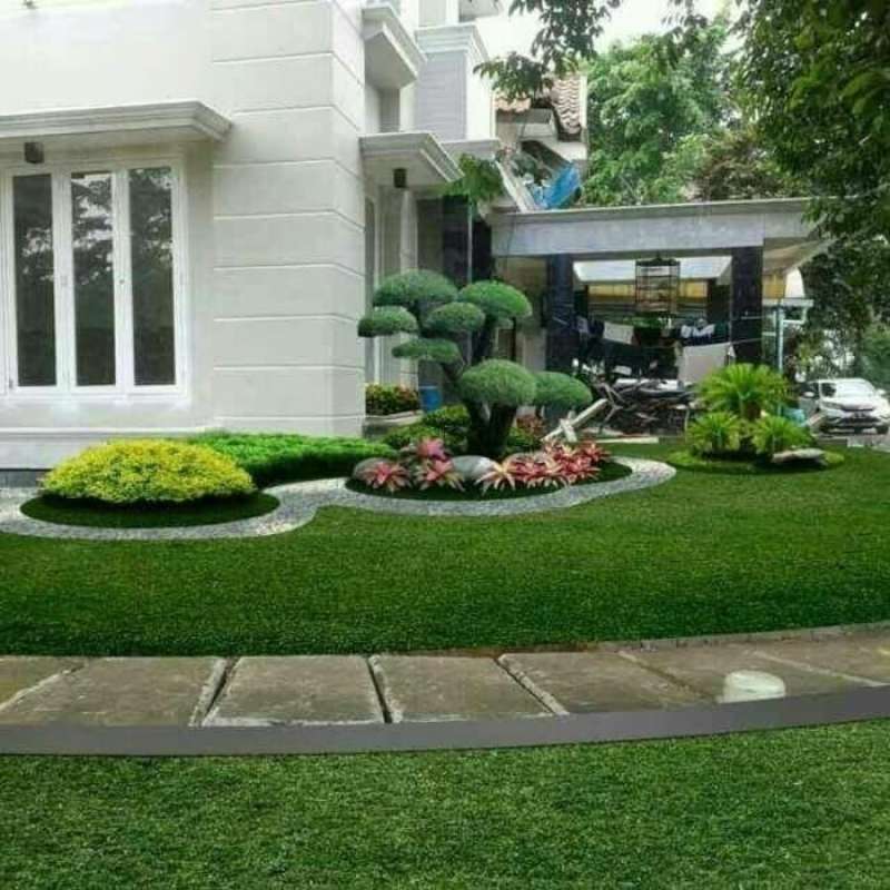 Jual rumput gajah mini siap tanam - rumput untuk taman di Seller ...