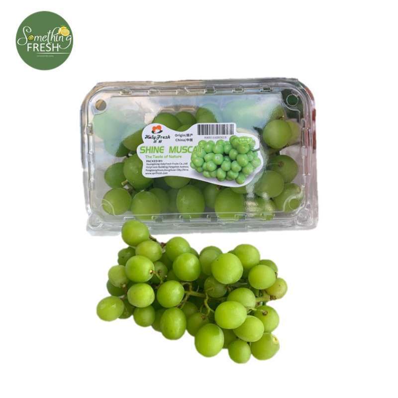 Jual Anggur Rrc Shine Muscat 500gr Per Pack - Jkt Di Seller Something ...