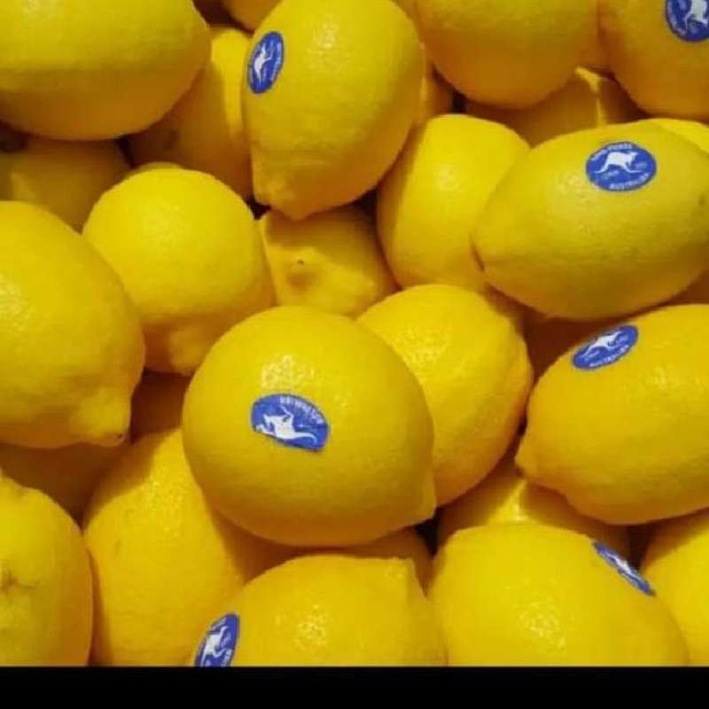 Jual jeruk Lemon import 1 kg di Seller Sayur Mama Dian - Kota Tangerang ...