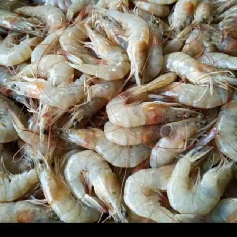 Jual udang basah segar ukuran kecil 250 gram di Seller Sayur Mama Dian ...