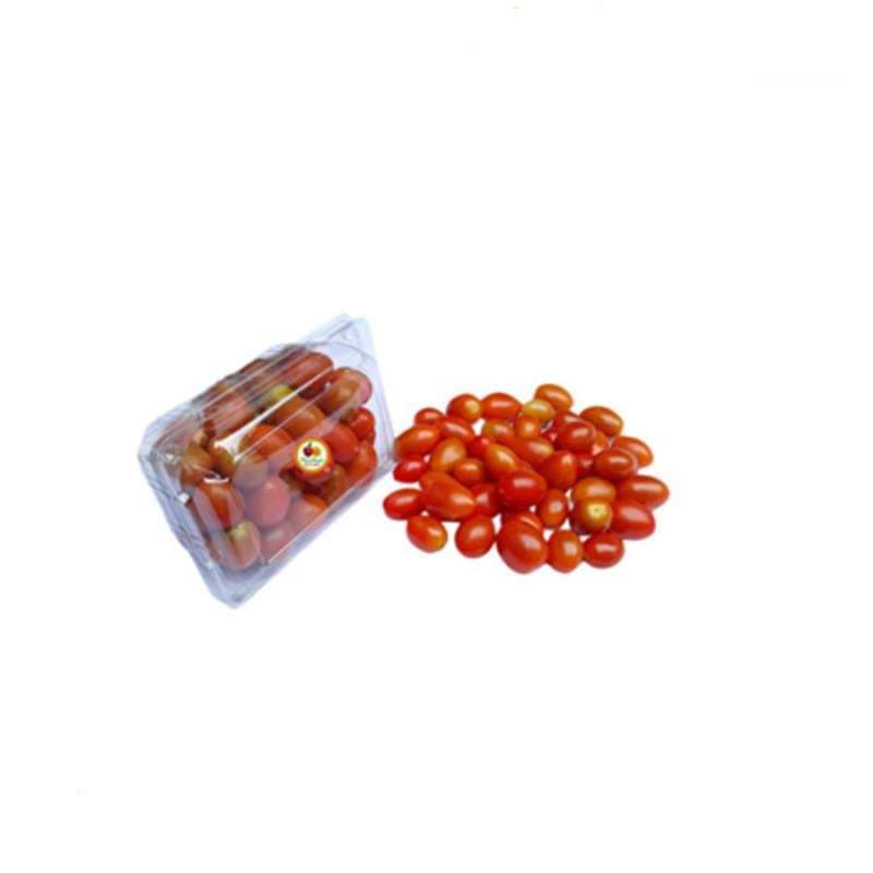 Jual Buah Tomat Chery Merah -+250gr Halal di Seller kebhott_shop ...
