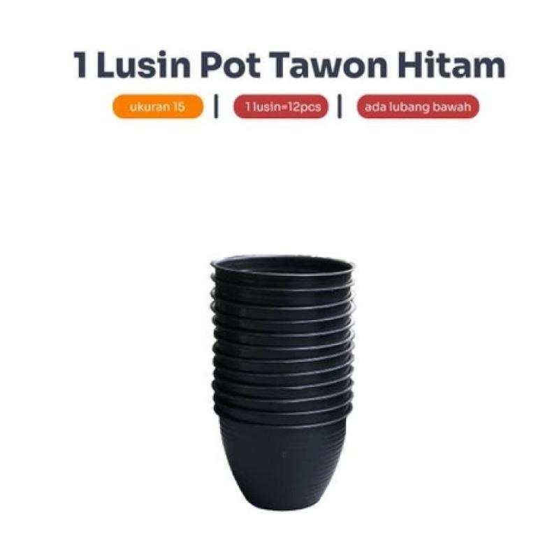 Jual Indokurnia 12 Pcs Pot Tawon Hitam 15cm di Seller ECO MEDIA ...