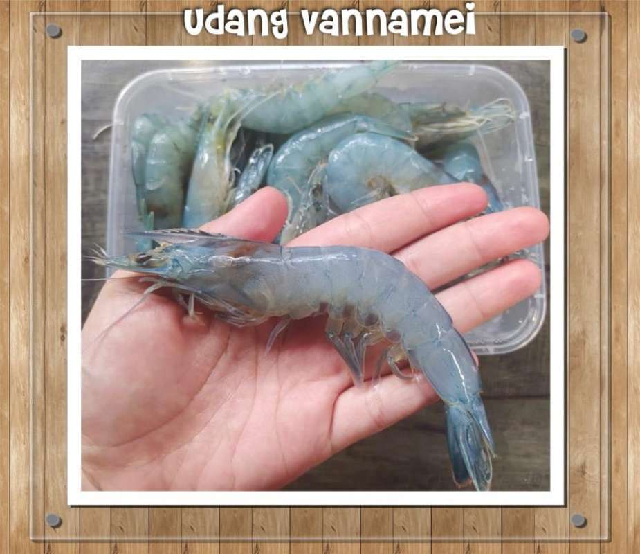 Jual Udang Vaname / Vannamei Size Besar (50-60 / kg) 500 gr Halal di ...