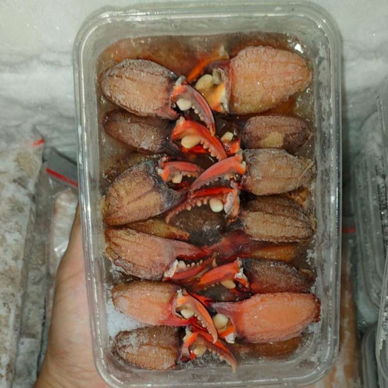 Jual Daging Capit Kepiting Kupas size A / Cimkong / cimbak/capit Halal ...