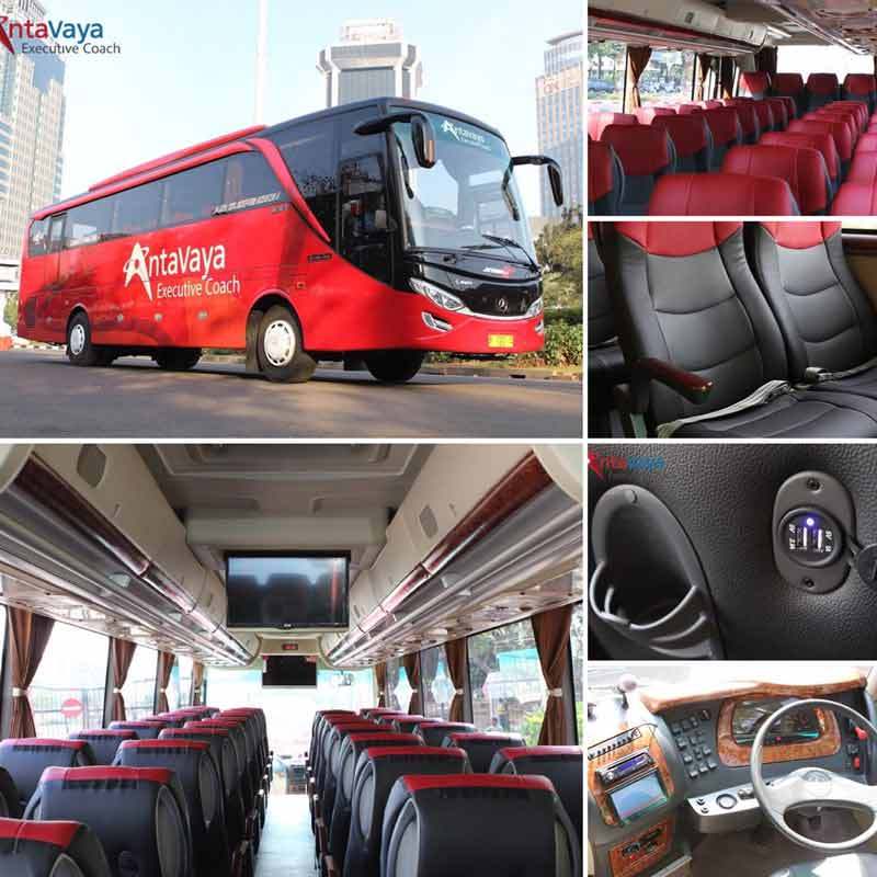 Jual Antavaya Tour Executive Coach Big Bus Sewa Bus Tour [kota Bunga ...