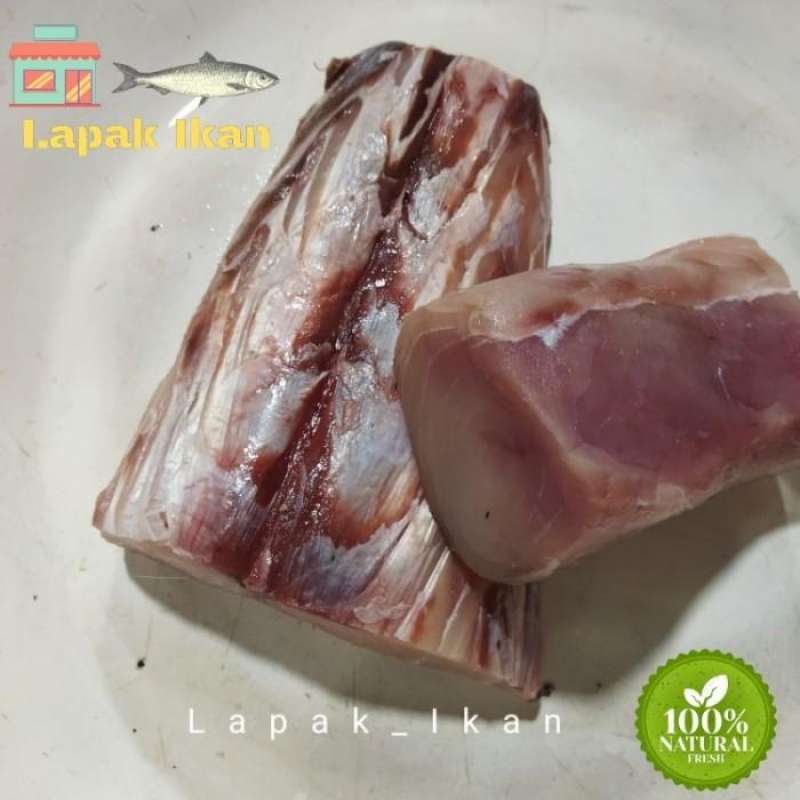 Jual Daging Ikan Marlin Segar 1~kilogram Halal Di Seller Lapakikan ...