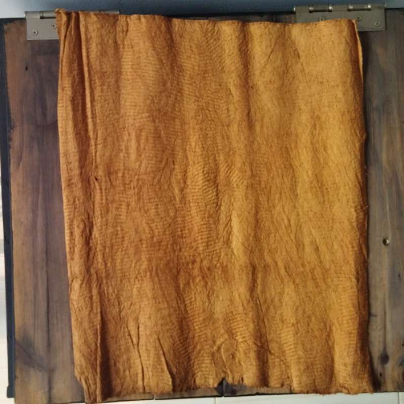 Promo Alas Foto Kayu Rustic Kulit Pohon Asli Vintage Esthetic Backdrop ...