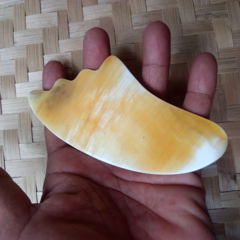 Jual Alat Pijat Terapi Guasa Tanduk Sapi Model Lempeng Sirip Hiu 13x6 ...