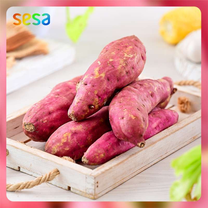 Jual Ubi Jepang 1 Kg | Ubi Jalar Di Seller Sesa Official Store - Sesa ...