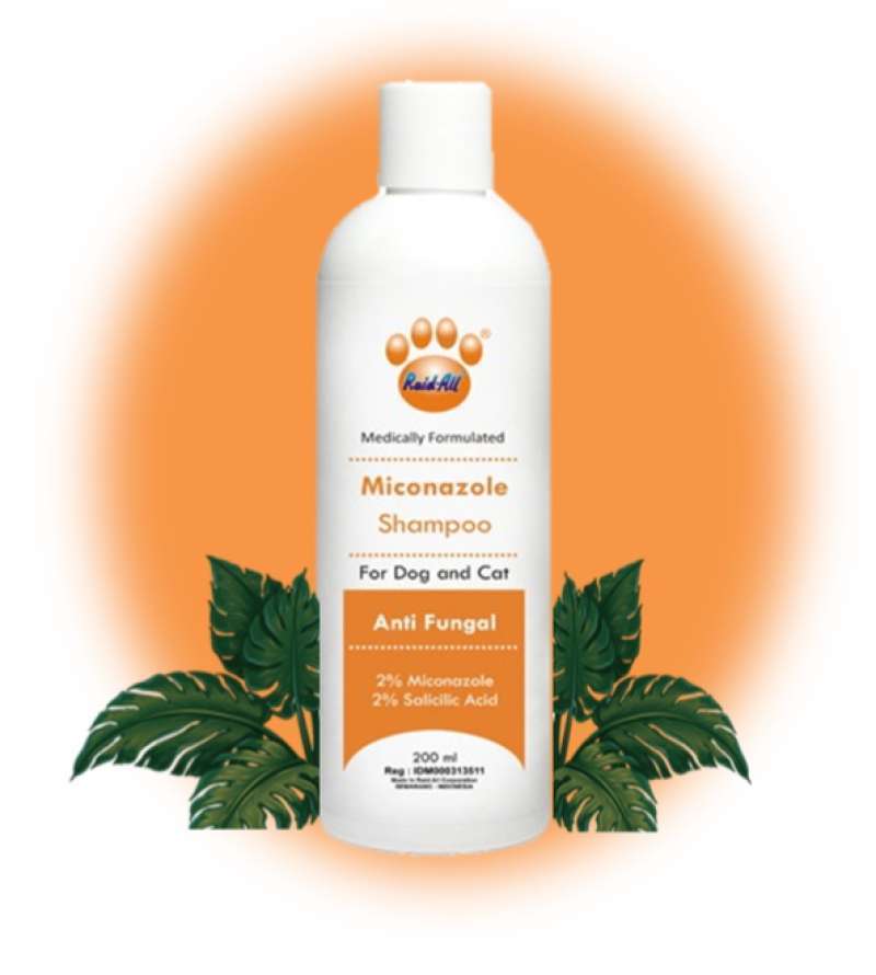 Jual SHAMPOO KUCING ANTI KUTU DAN JAMUR MICONAZOLE 200ML | SHAMPO ...