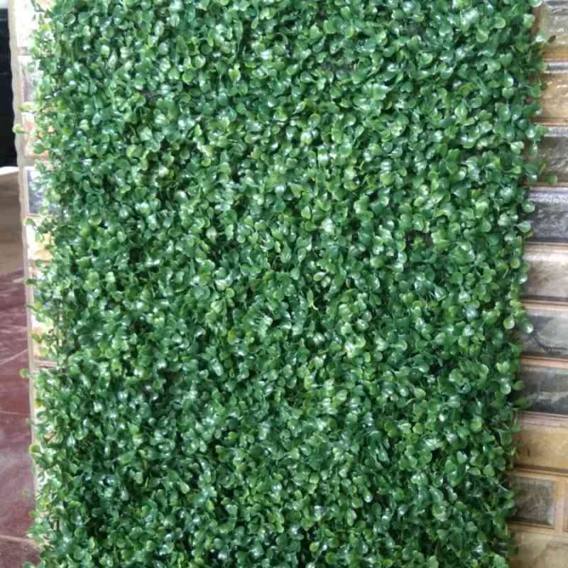 Jual Terbaru Daun Rambat Dolar, Daun Sintetis, Daun Plastik, Tanaman ... Jual Terbaru Daun Rambat Dolar, Daun Sintetis, Daun Plastik, Tanaman ...
