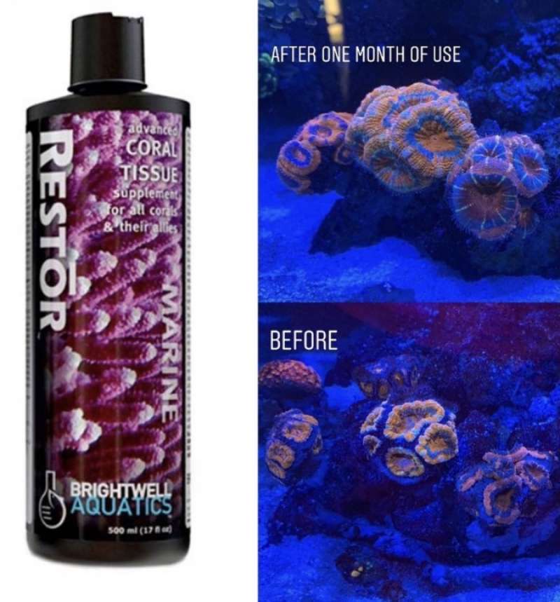 Promo Brightwell Restor 500ml (perawatan & pencerahan warna) Diskon 23% ...