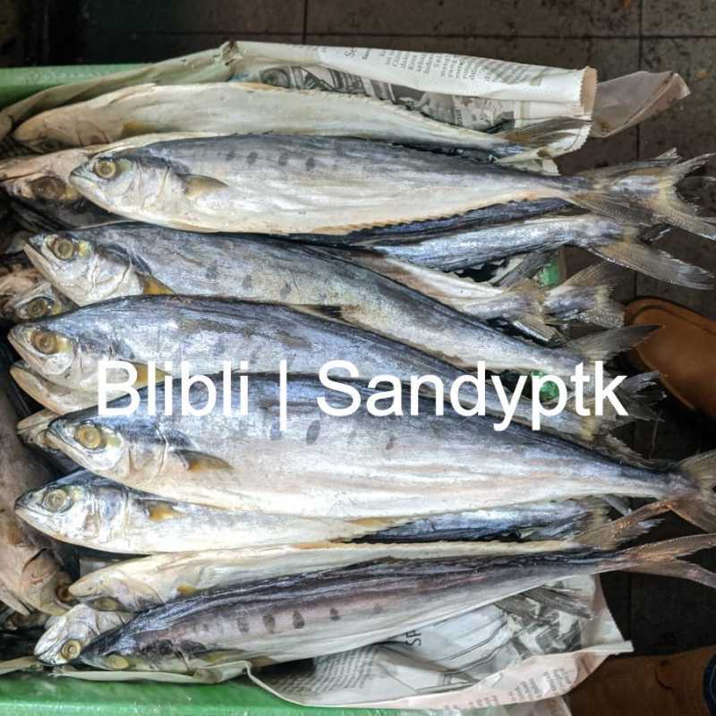 Jual Ikan Asin Jan Pu Termurah - Harga Grosir Terupdate Hari Ini | Blibli