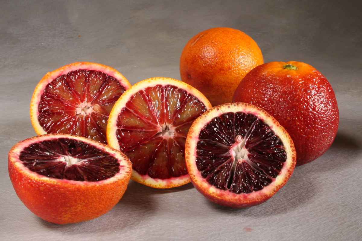 Jual HasilSumberalaM Jeruk Blood Oranges AUSTRALIA Orchard Breeze 1 kg Bukan Navel ANTIK Halal ...