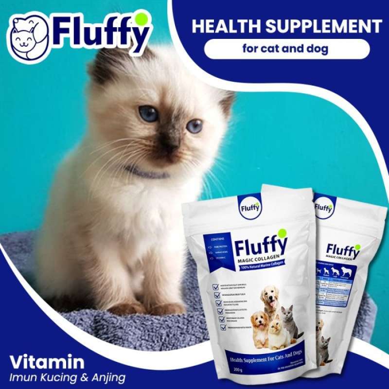 Jual Fluffy | Makanan Untuk Kucing Kecil - Makanan Untuk Kucing Anakan ...