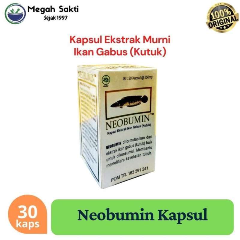 Ikan Gabus Kutuk Lengkap Harga Terbaru April 2024 | Blibli