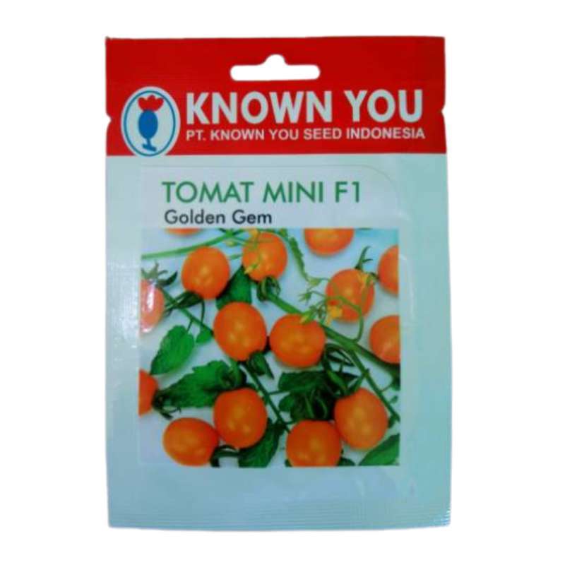 Jual TOMAT MINI GOLDEN GEM PACK KECIL 50 Benih biji Tomat Cherry orange ...