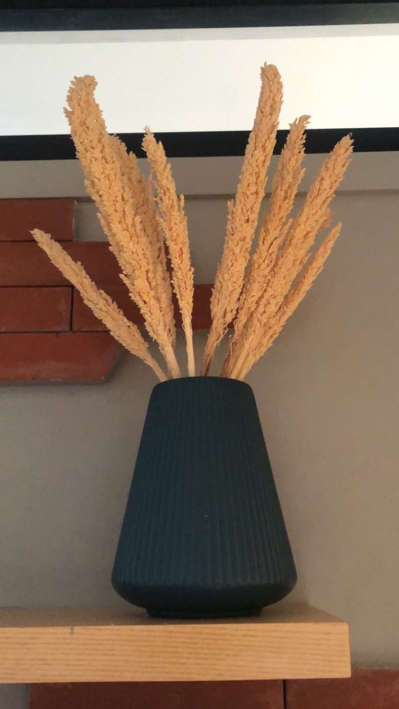 Jual Vas Fas Bunga Unik Aesthetic Tinggi Besar Meja Ruang Tamu Plastik ...